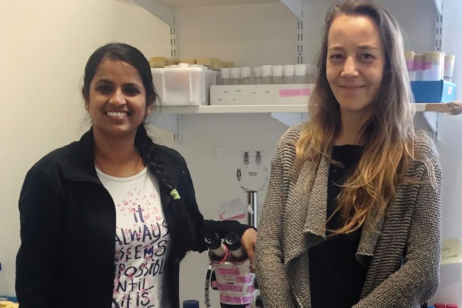 Das aktuelle "Paper of the Month" (10/2018) geht an: Dr. Maja Matis aus ...