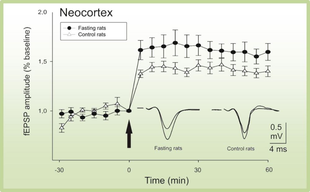 Evaluation of synaptic mechanisms to control seizures and in vitro ...