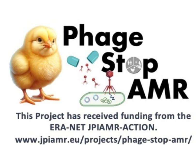 Phage STOP AMR