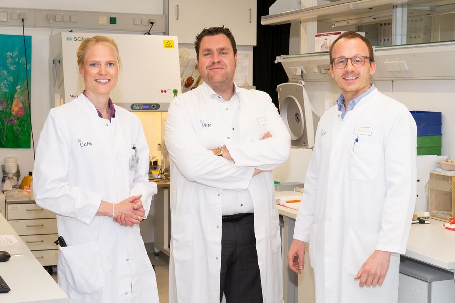 Neue Forschungsgruppe zum Schlaganfall: 4,5 Mio. Euro Förderung für ...