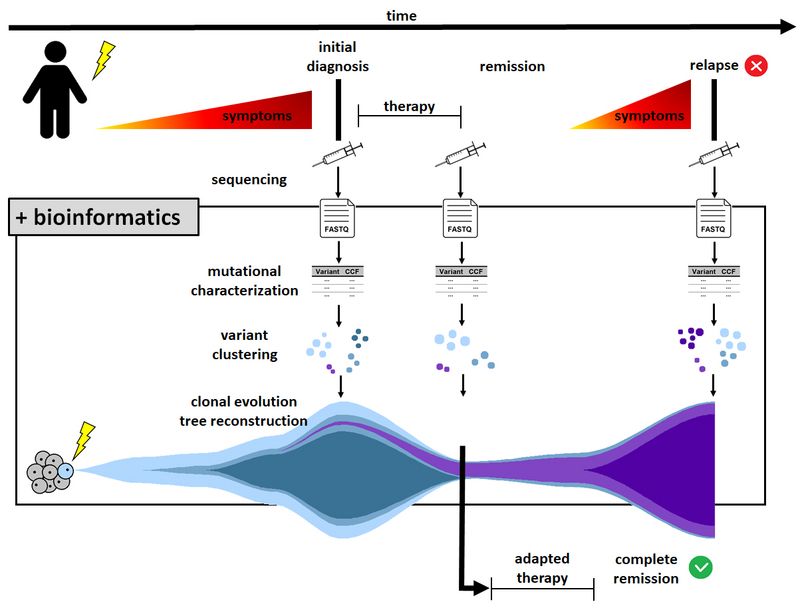 Reconstruction of clonal evolution