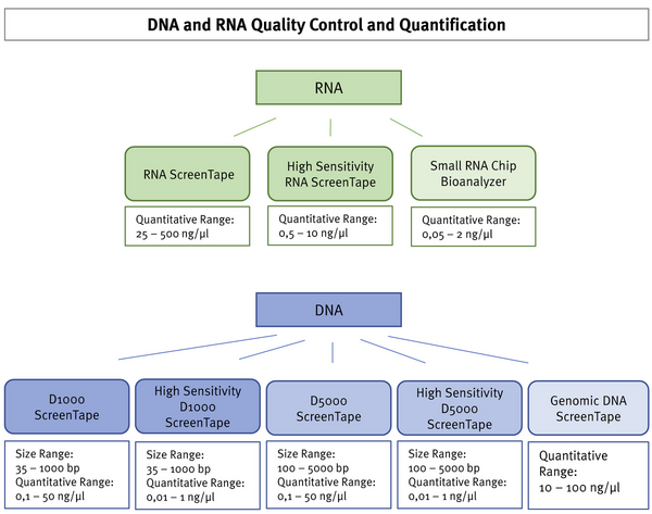 DNA and RNA Quality Control and Quantification