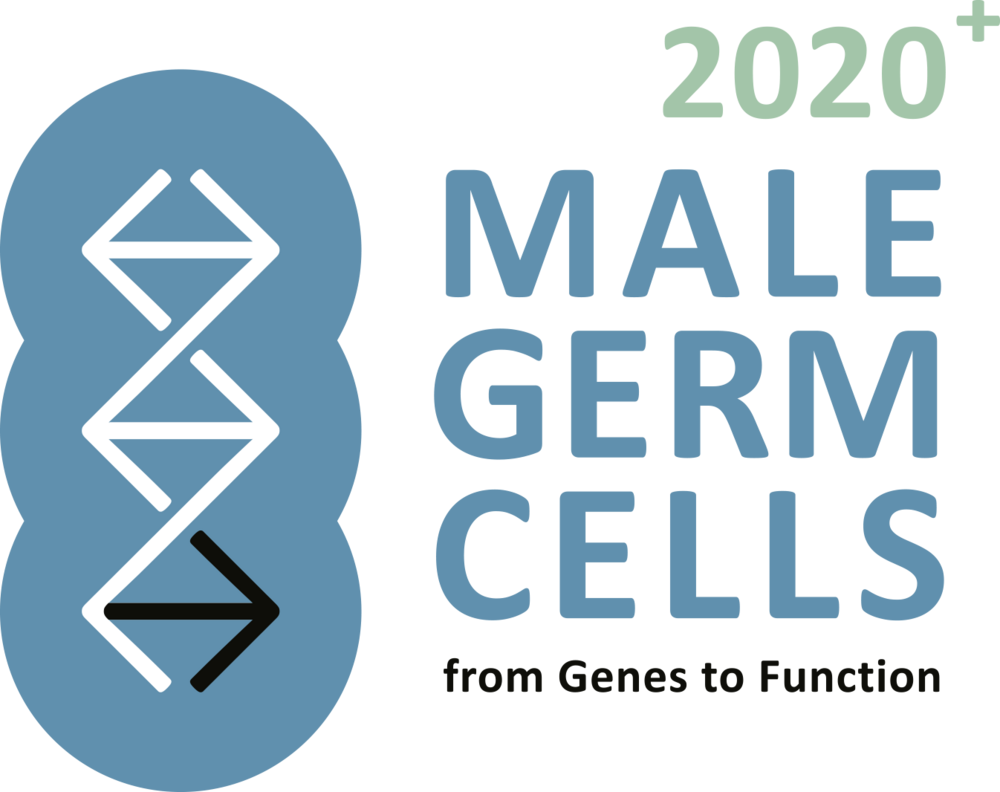 Male Germ Cells: from Genes to Function