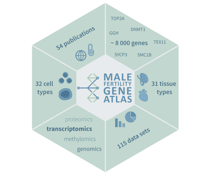 The Male Fertility Gene Atlas - Daten sammeln leicht gemacht!