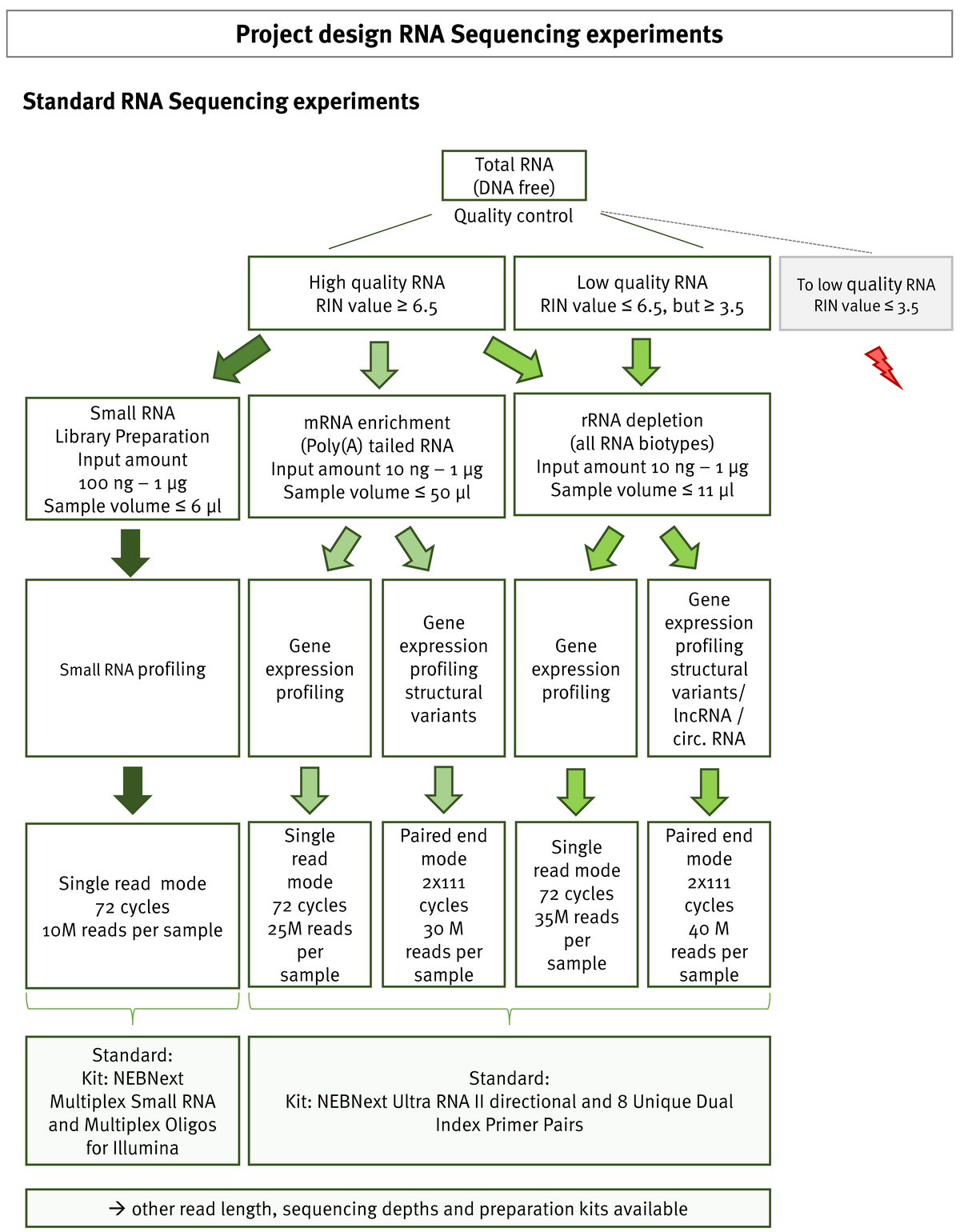 Project Design RNA Sequencing experiments