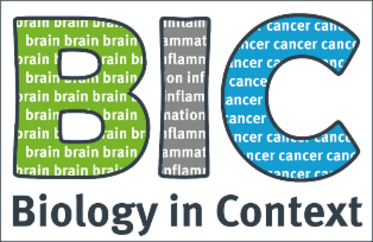 Call for IZKF Technology Grants