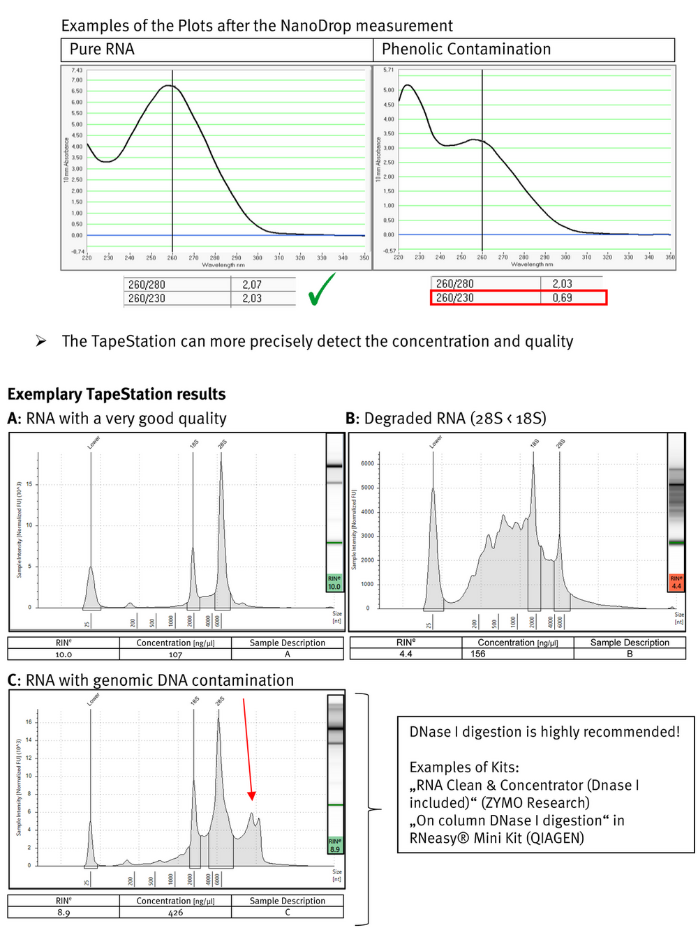 Quality Control Workflow for RNA Sequencing