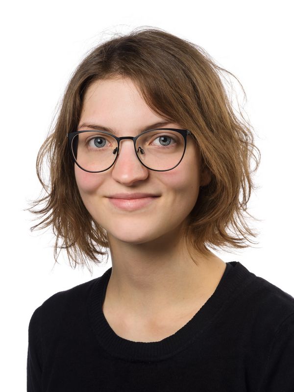 AG Bleckmann / Menck