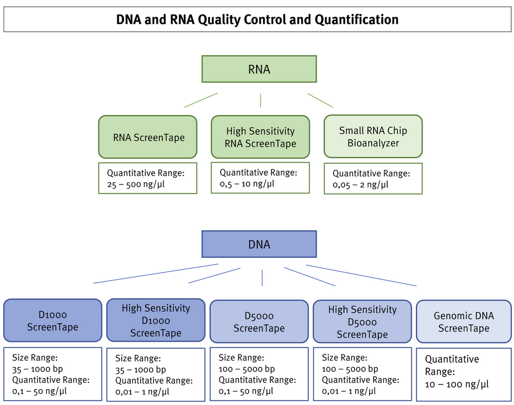DNA and RNA Quality Control and Quantification