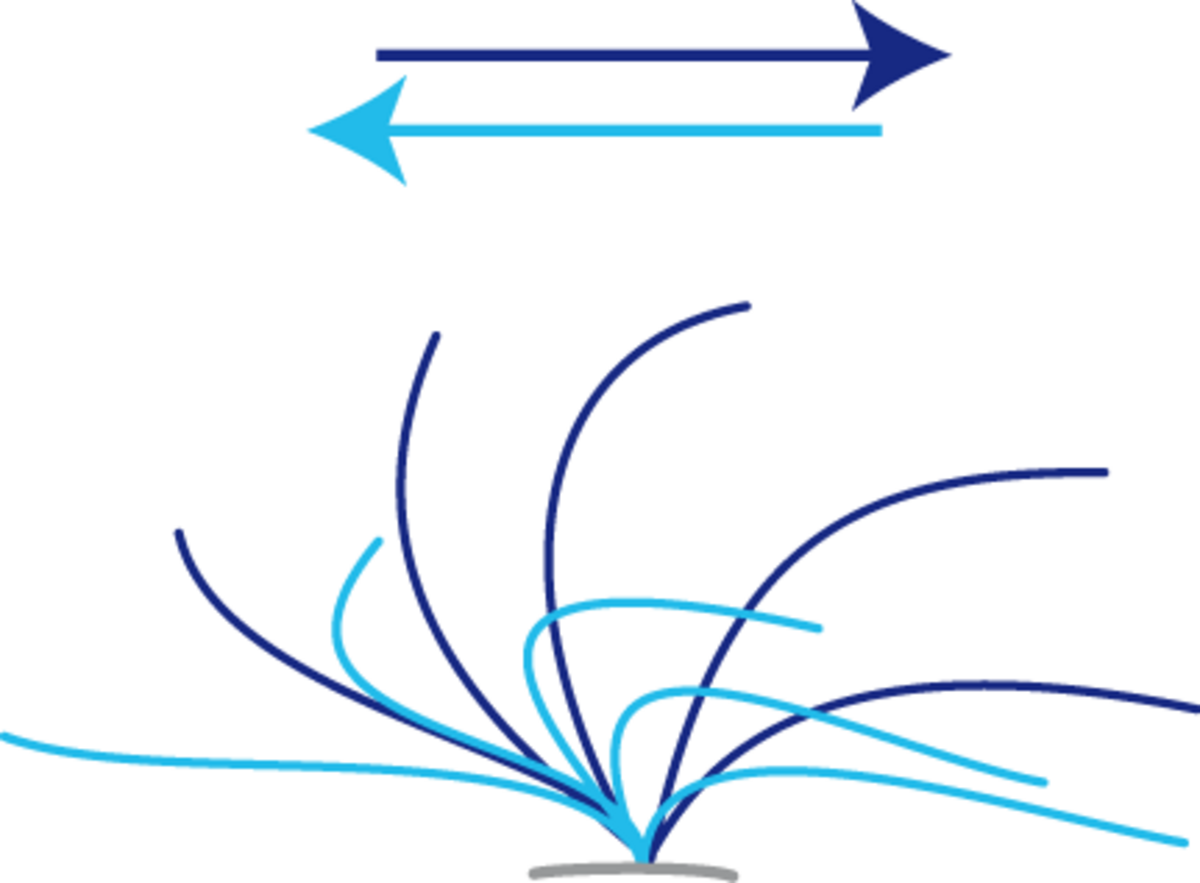 High-speed Video Microscopy Analysis (HVMA)